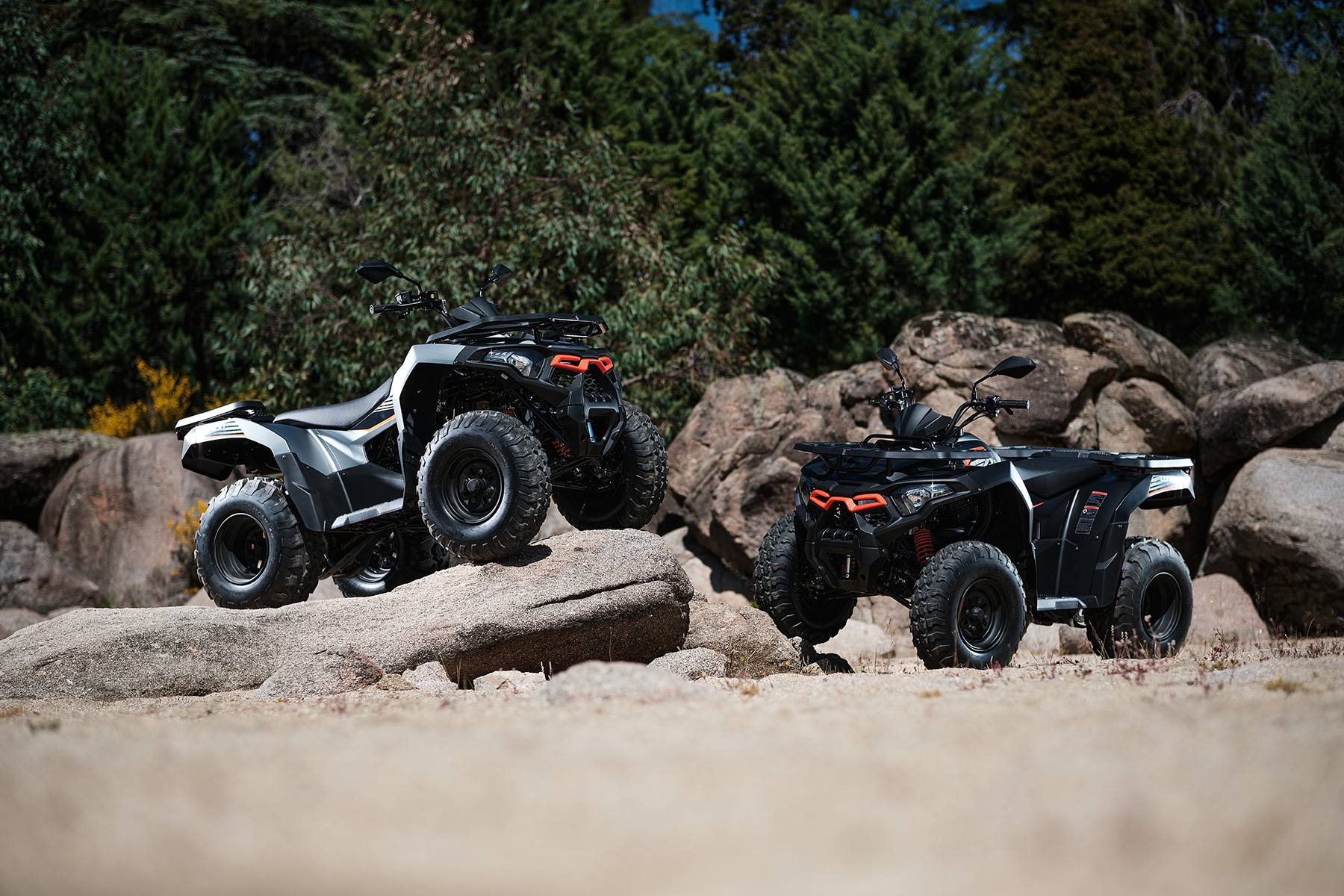 Квадроцикл Loncin XWolf 200 от 279000 руб - каталог производителя Loncin